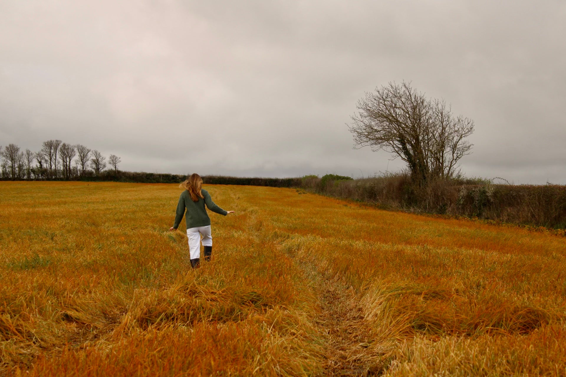 Quality natural sustainable clothing, focusing on Merino Wool ...